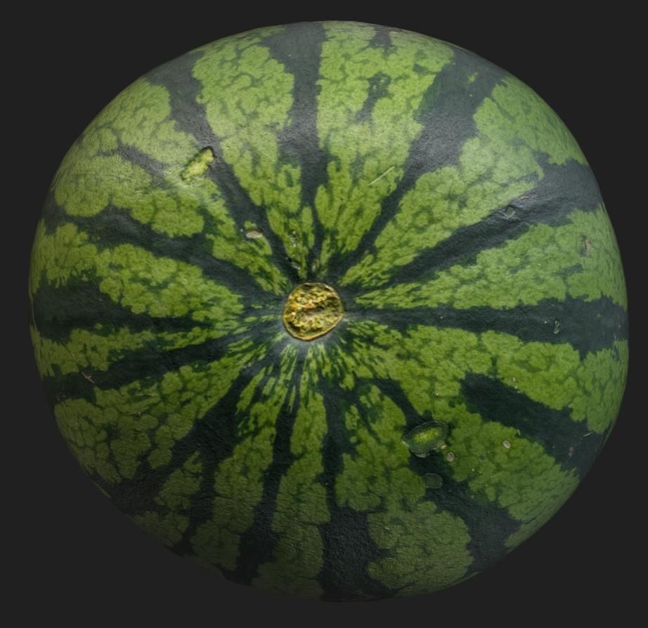 3D model low-poly Watermelon | CGTrader