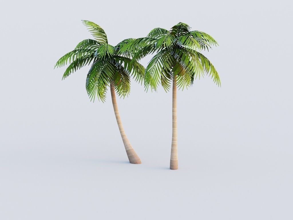 3D model Coconut Tree LOD G11 VR / AR / low-poly | CGTrader