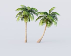 Coconut tree 3D Models | CGTrader