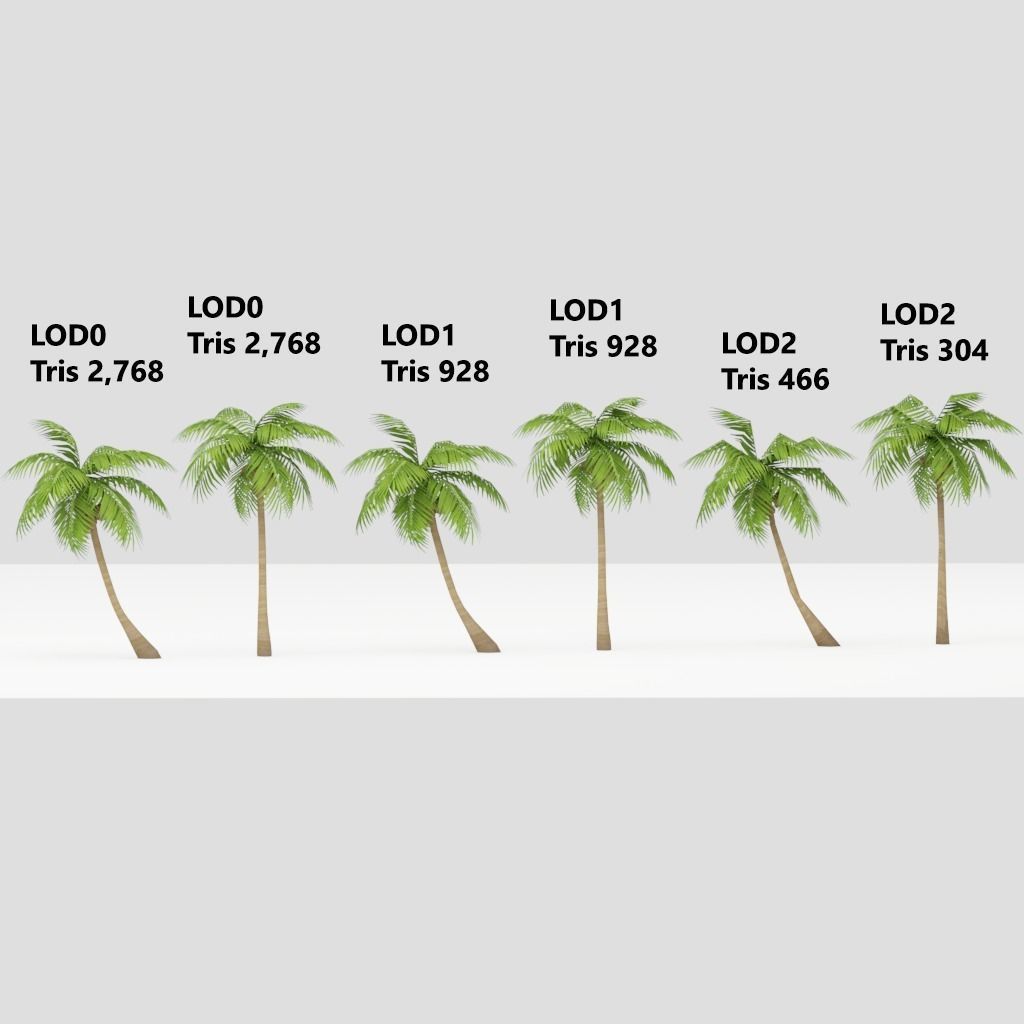 3D model Coconut Tree LOD G11 VR / AR / low-poly | CGTrader