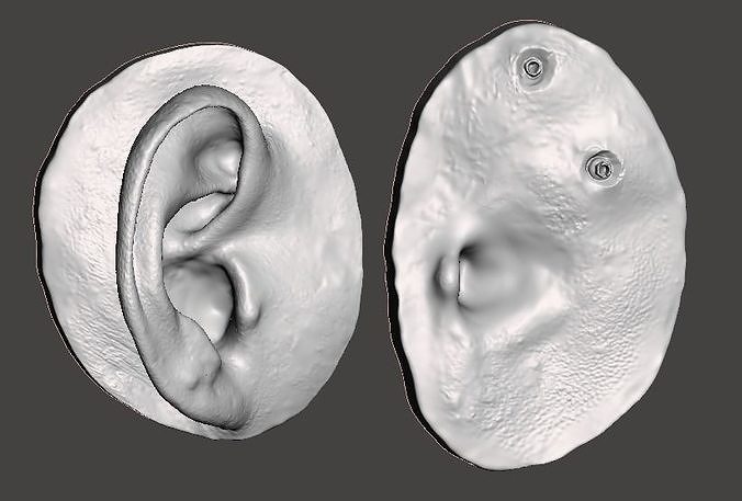 Natural human ear anatomy for attachment retained prosthesis 3D model ...