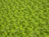 Stylized Grass Texture Free free VR / AR / low-poly Texture | CGTrader