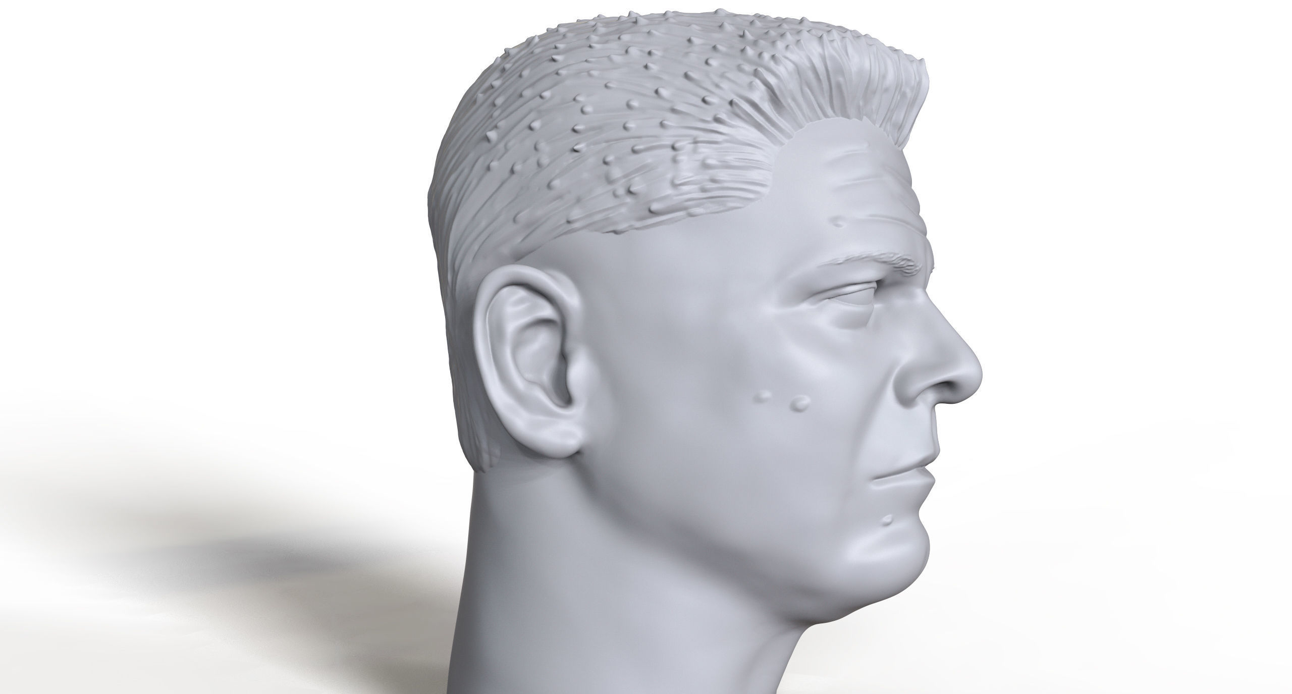Ninnie Alvin 3D printable portrait 3D model 3D printable | CGTrader