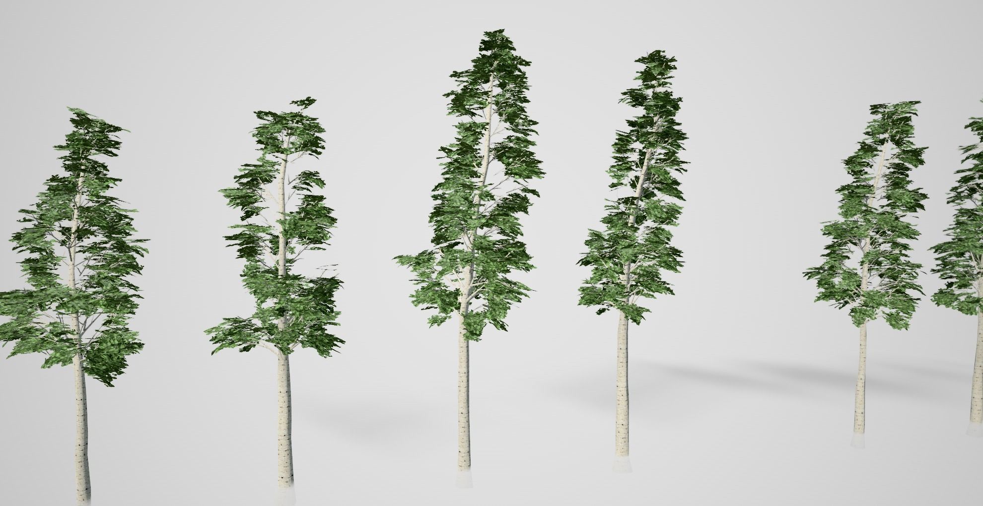3D model Aspen Trees Pack VR / AR / low-poly | CGTrader