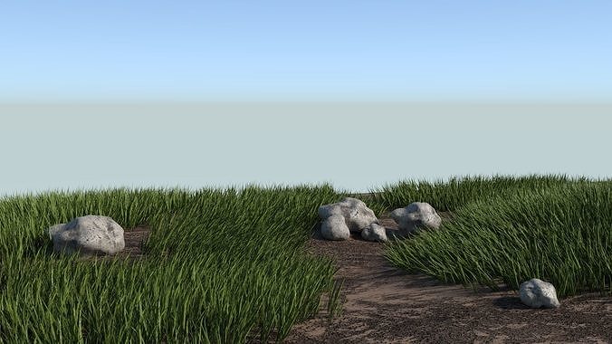 GRASS FIELD 3D model | CGTrader