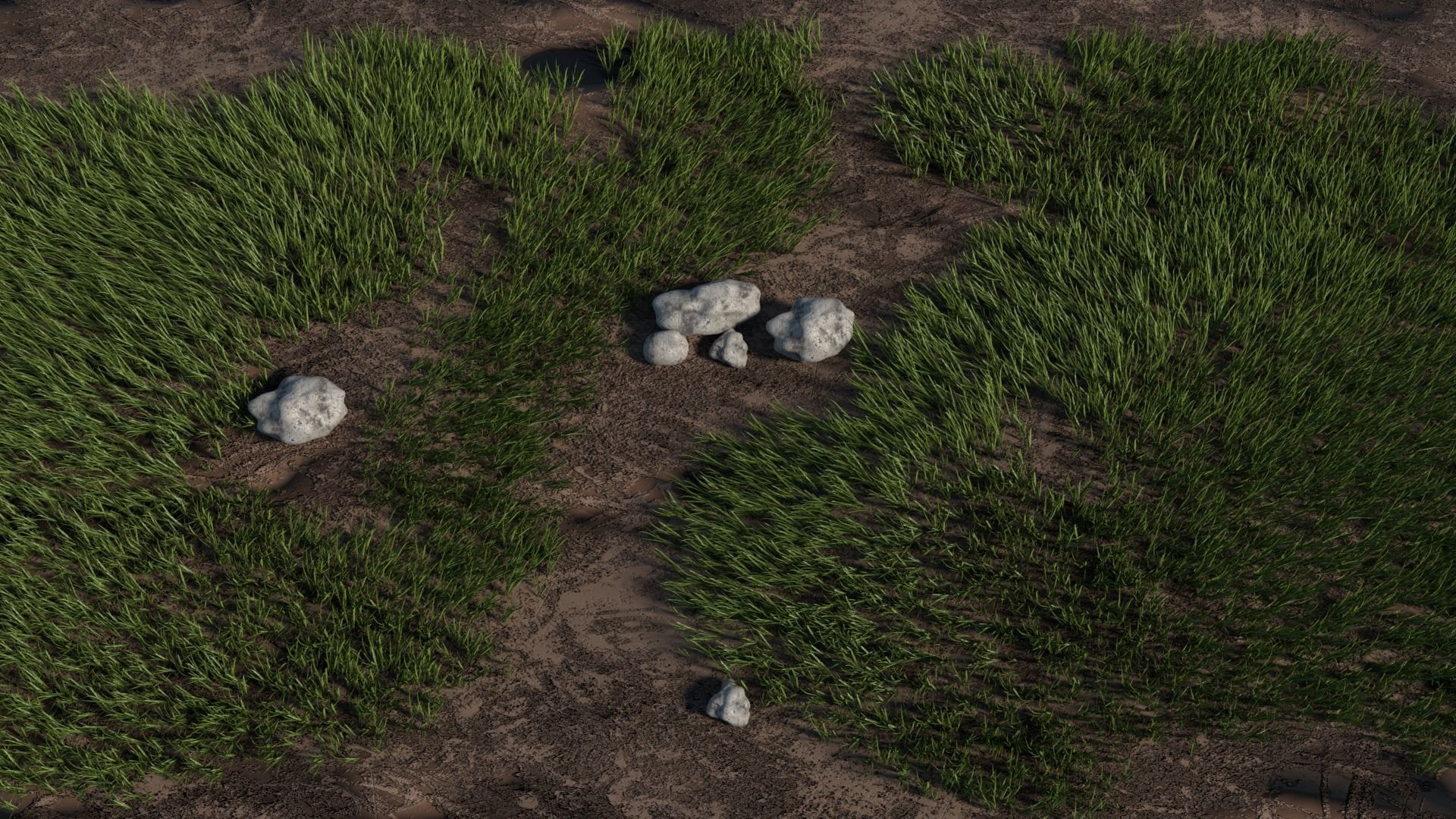 GRASS FIELD 3D model | CGTrader