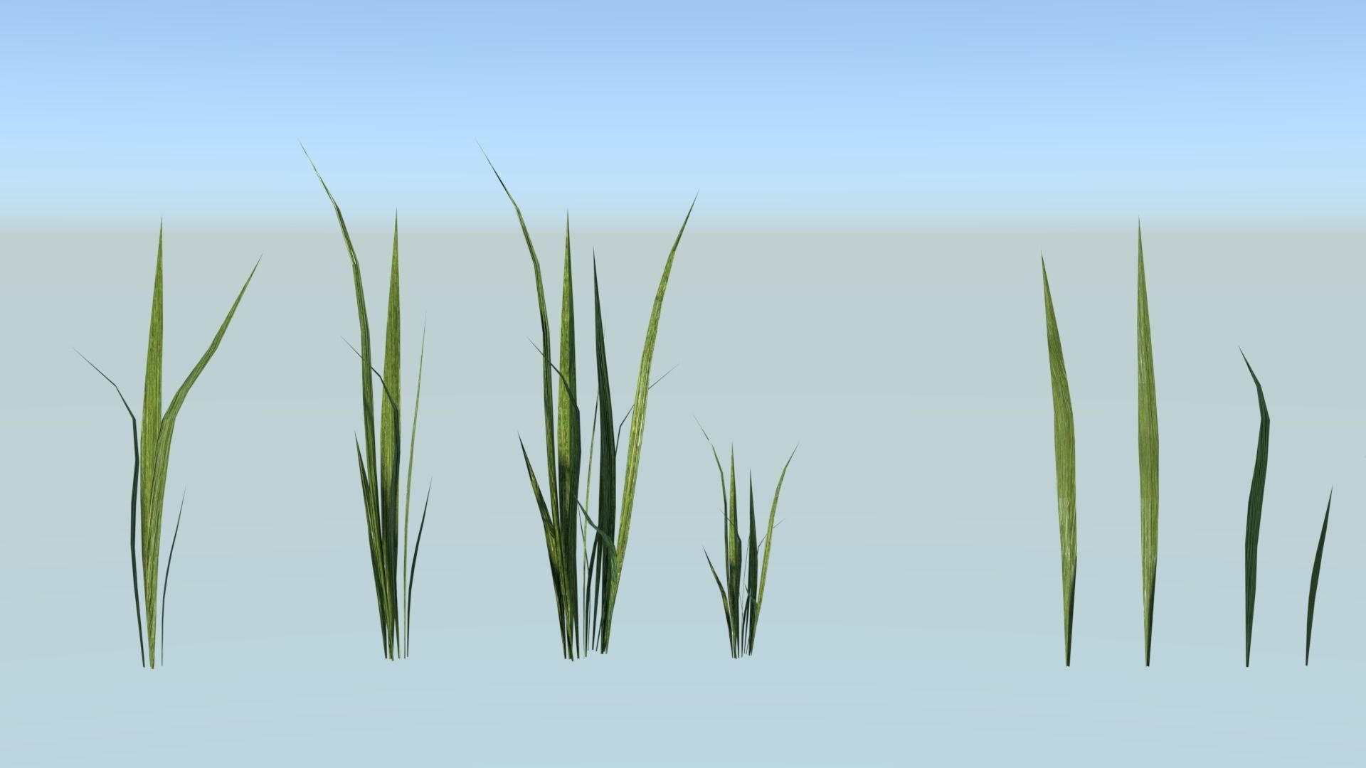 GRASS FIELD 3D model | CGTrader