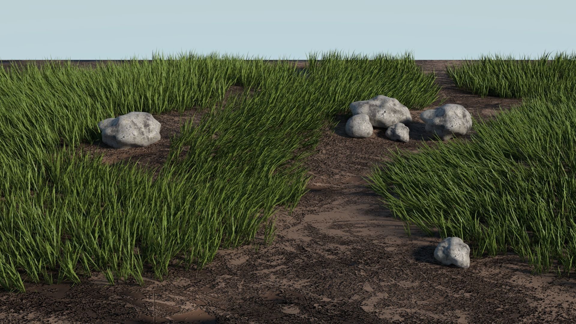 GRASS FIELD 3D model | CGTrader