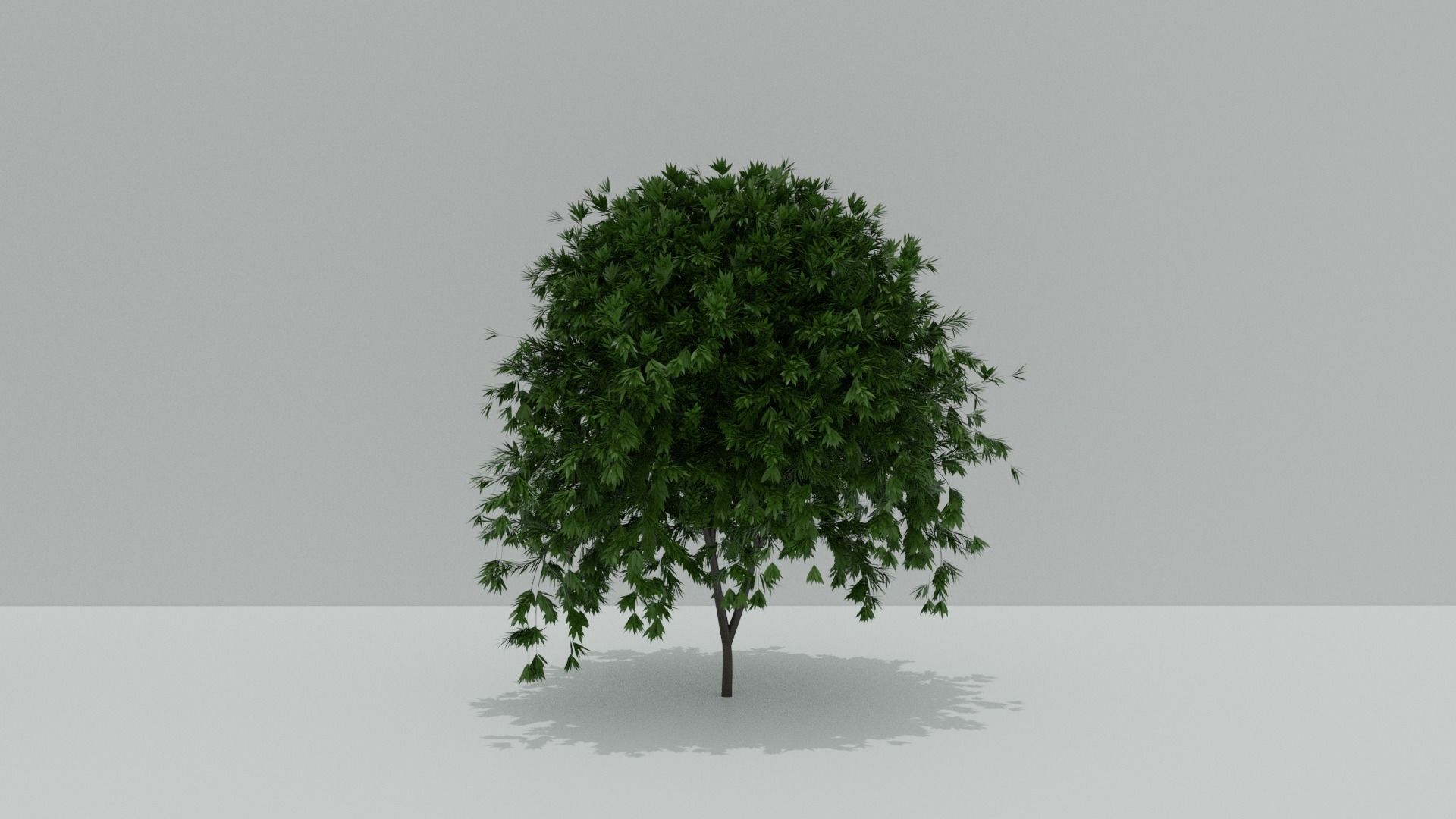 4 Pack Of High Poly Trees 3D model | CGTrader