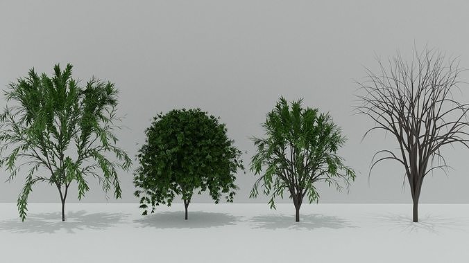 4 Pack Of High Poly Trees 3D model | CGTrader