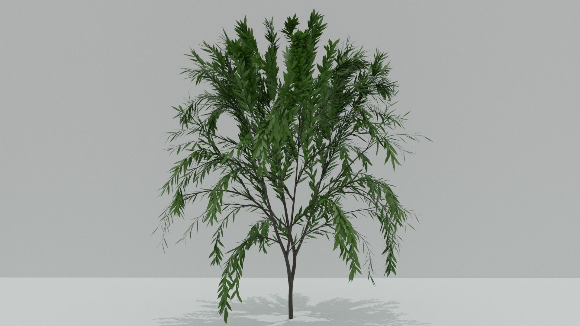 4 Pack Of High Poly Trees 3D model | CGTrader