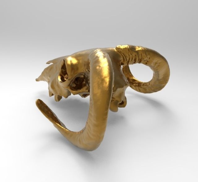 ram skull for 3D print 3D model 3D printable | CGTrader