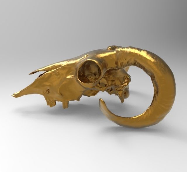 ram skull for 3D print 3D model 3D printable | CGTrader