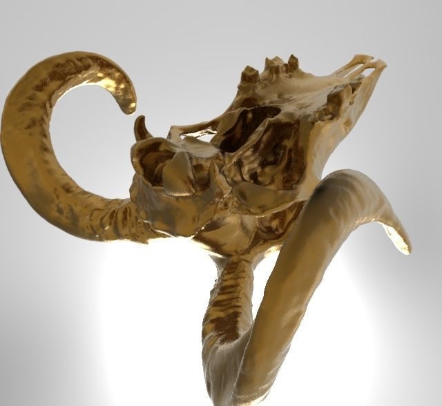ram skull for 3D print 3D model 3D printable | CGTrader