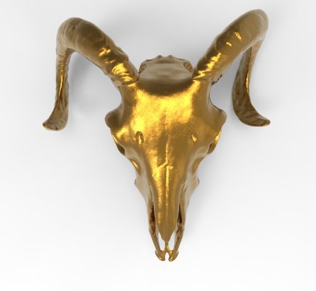 ram skull for 3D print 3D model 3D printable | CGTrader