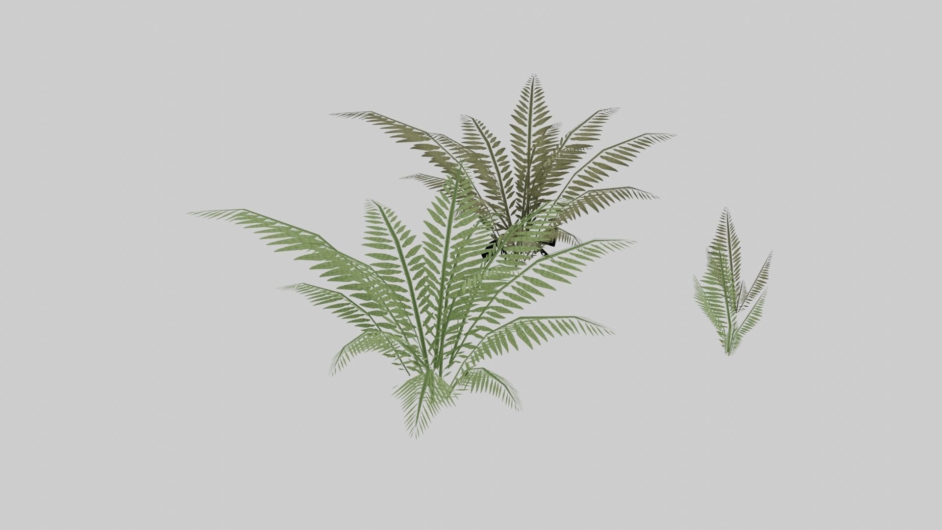 3D model Textured Plant VR / AR / low-poly | CGTrader