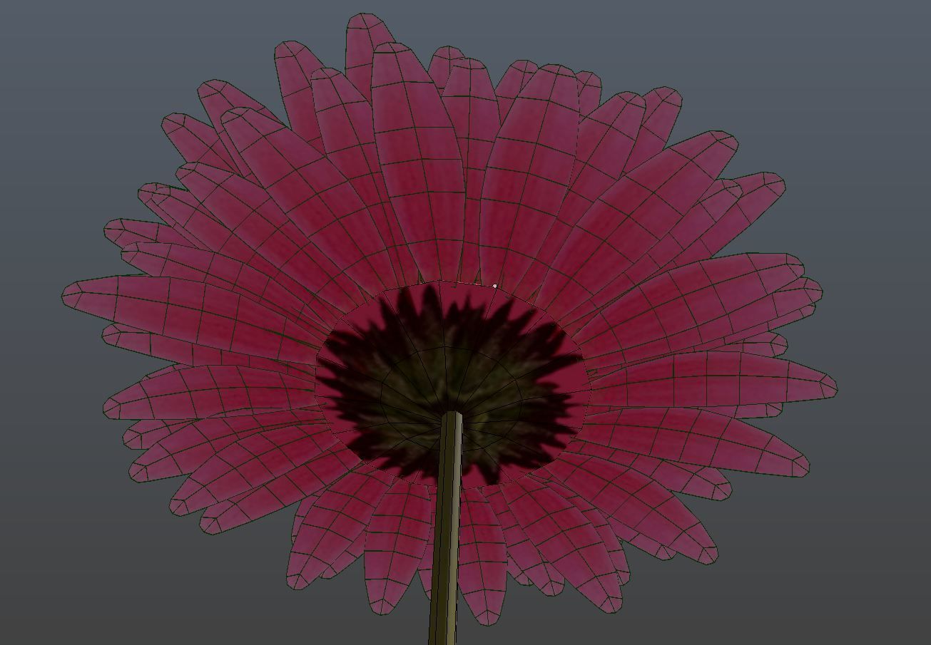 Gerbera daisy on stem 3D model | CGTrader