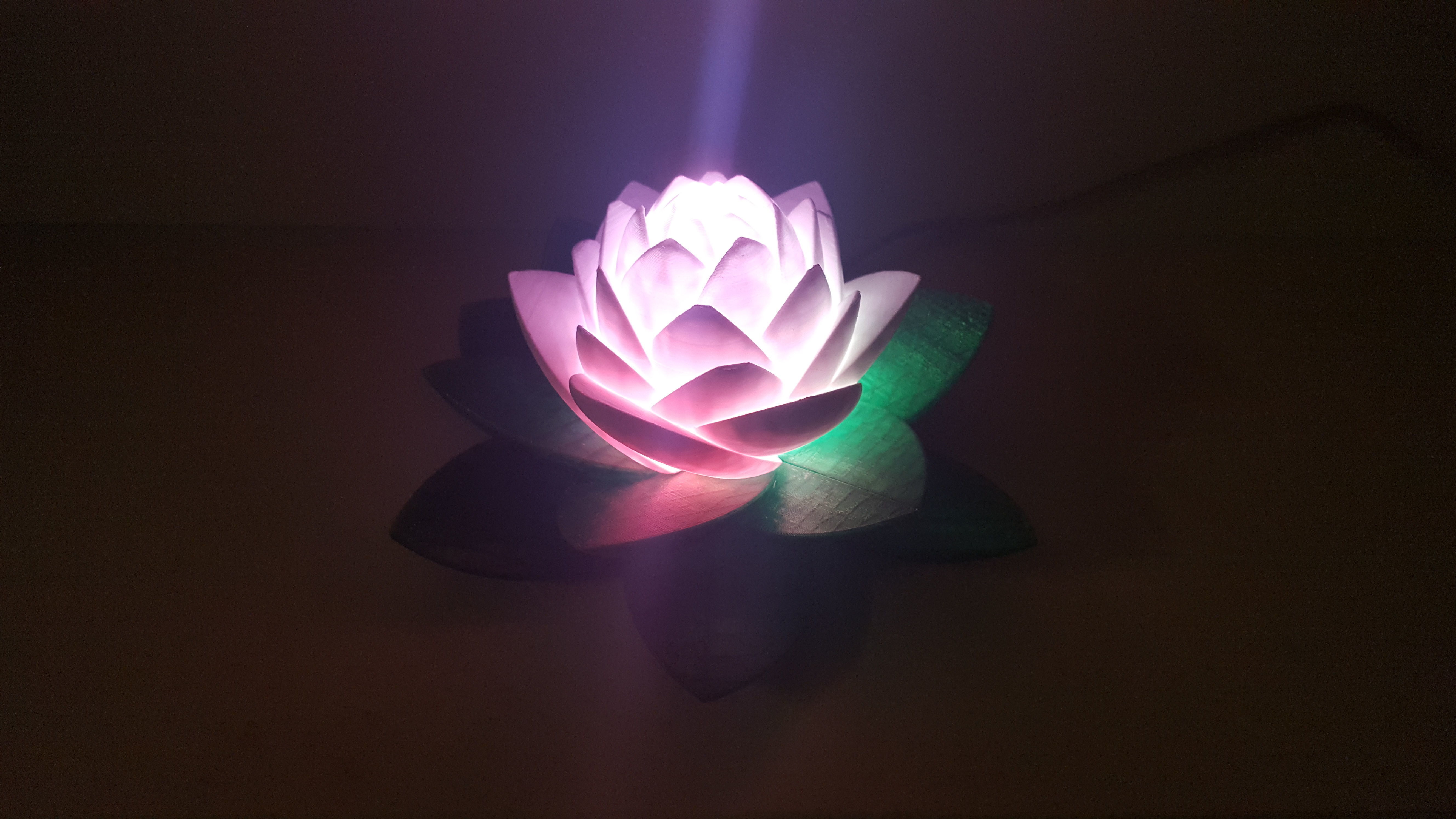 Lotus Lamp free 3D model 3D printable | CGTrader