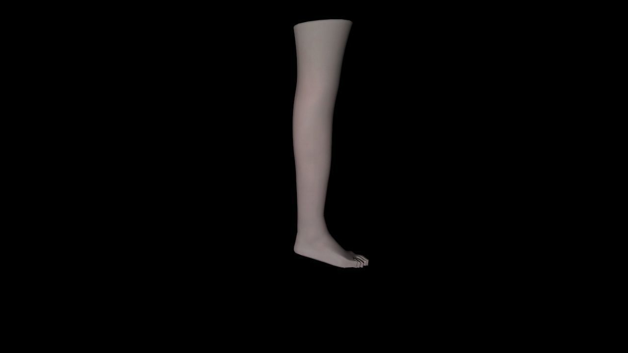 Rigging foot 3D model rigged | CGTrader