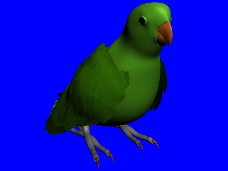 3D model Parrot VR / AR / low-poly | CGTrader