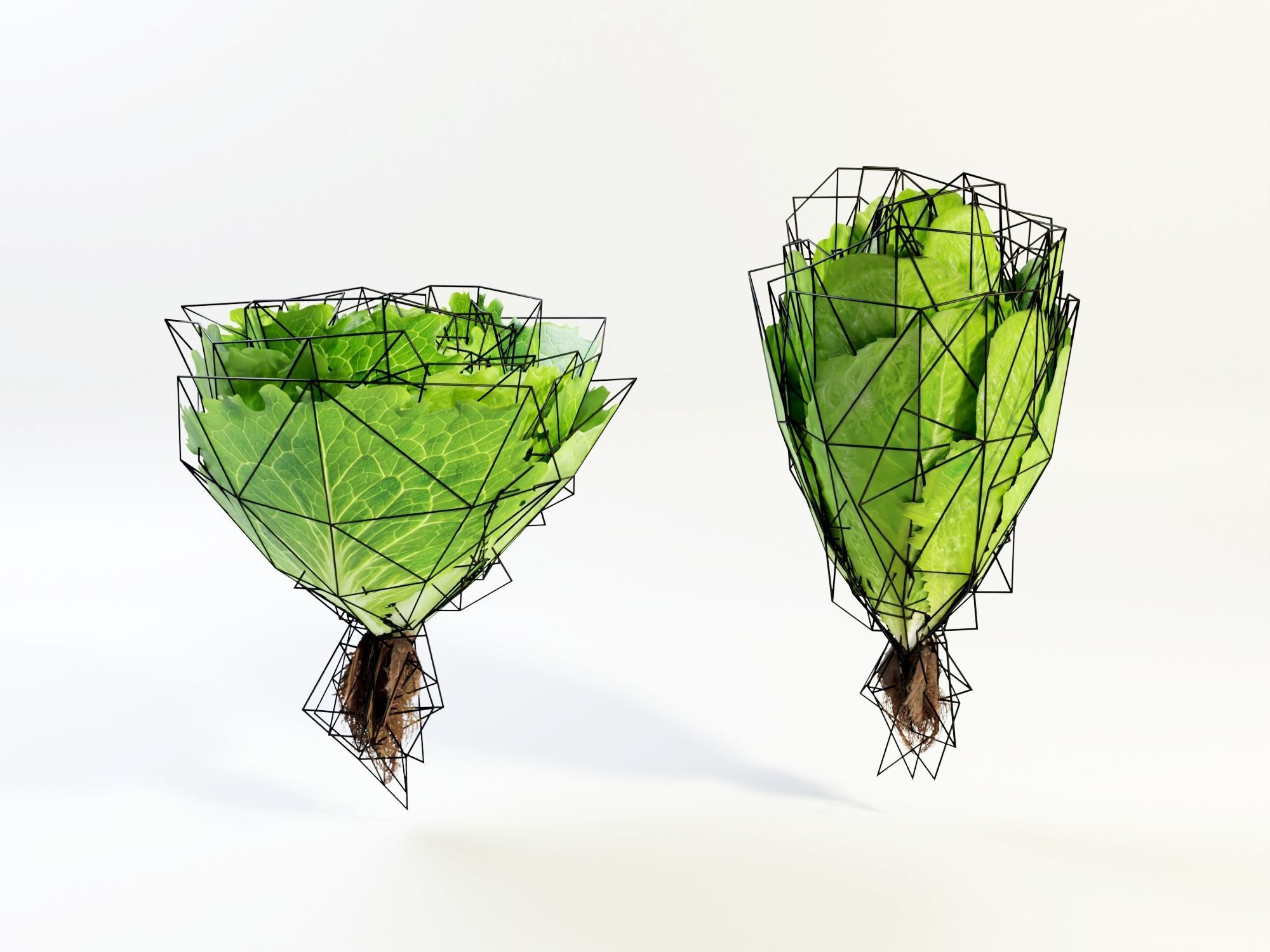 3D model 2 Lettuce - Low Poly VR / AR / low-poly | CGTrader