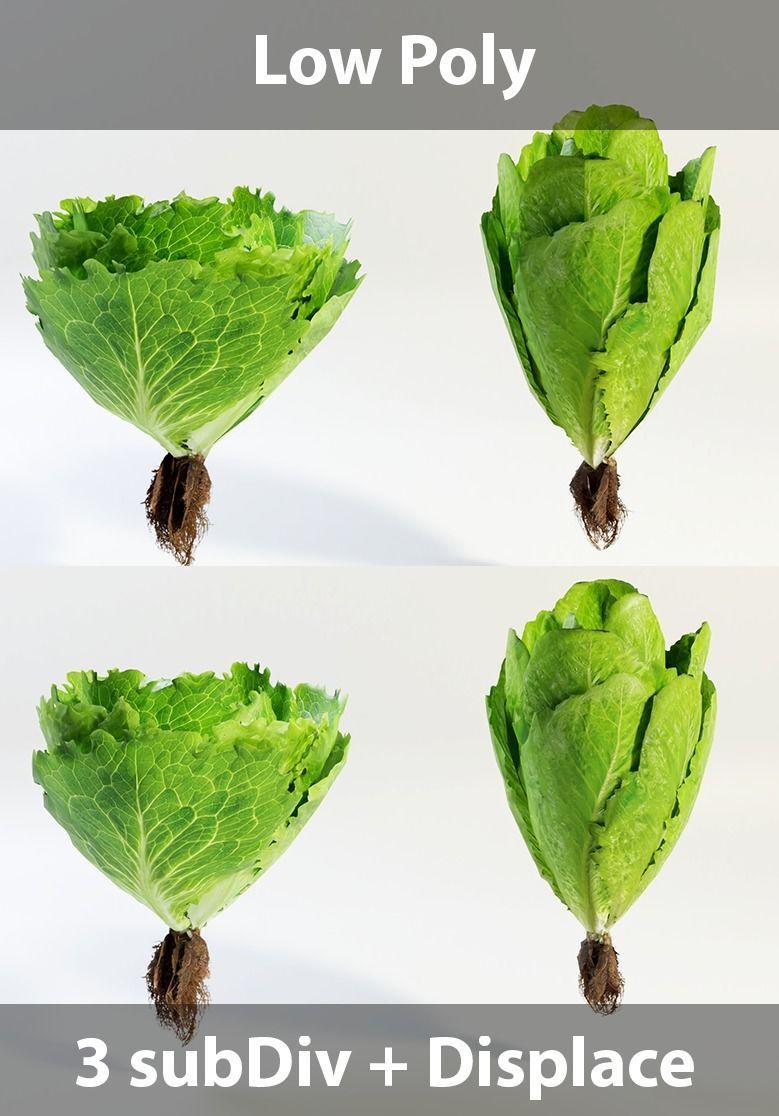 3D model 2 Lettuce - Low Poly two cabbages VR / AR / low-poly | CGTrader