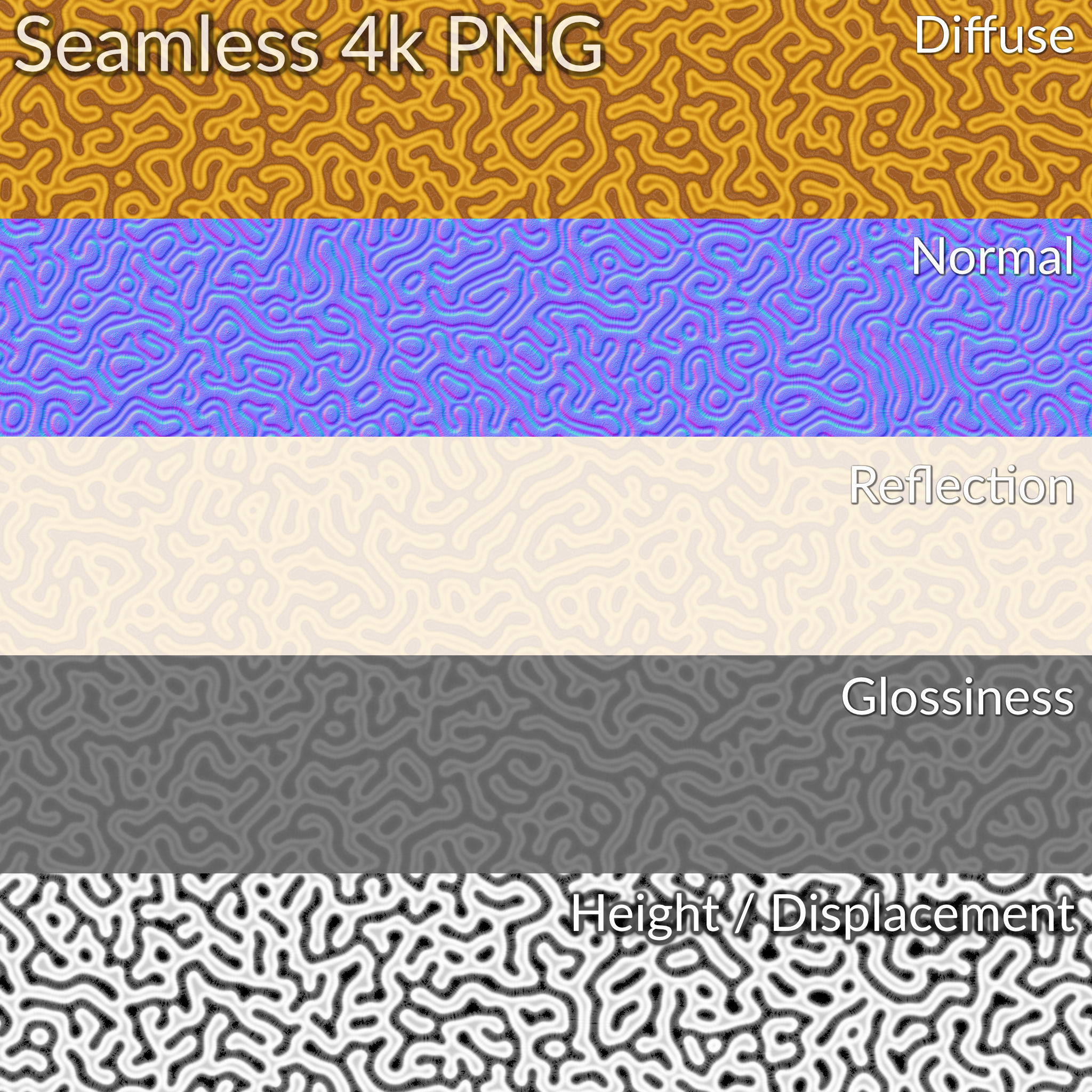 Seamless Brain Coral Texture Set 4k PBR Texture | CGTrader