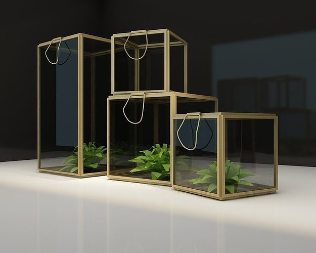 Glass Boxes Plant Display 3D model | CGTrader