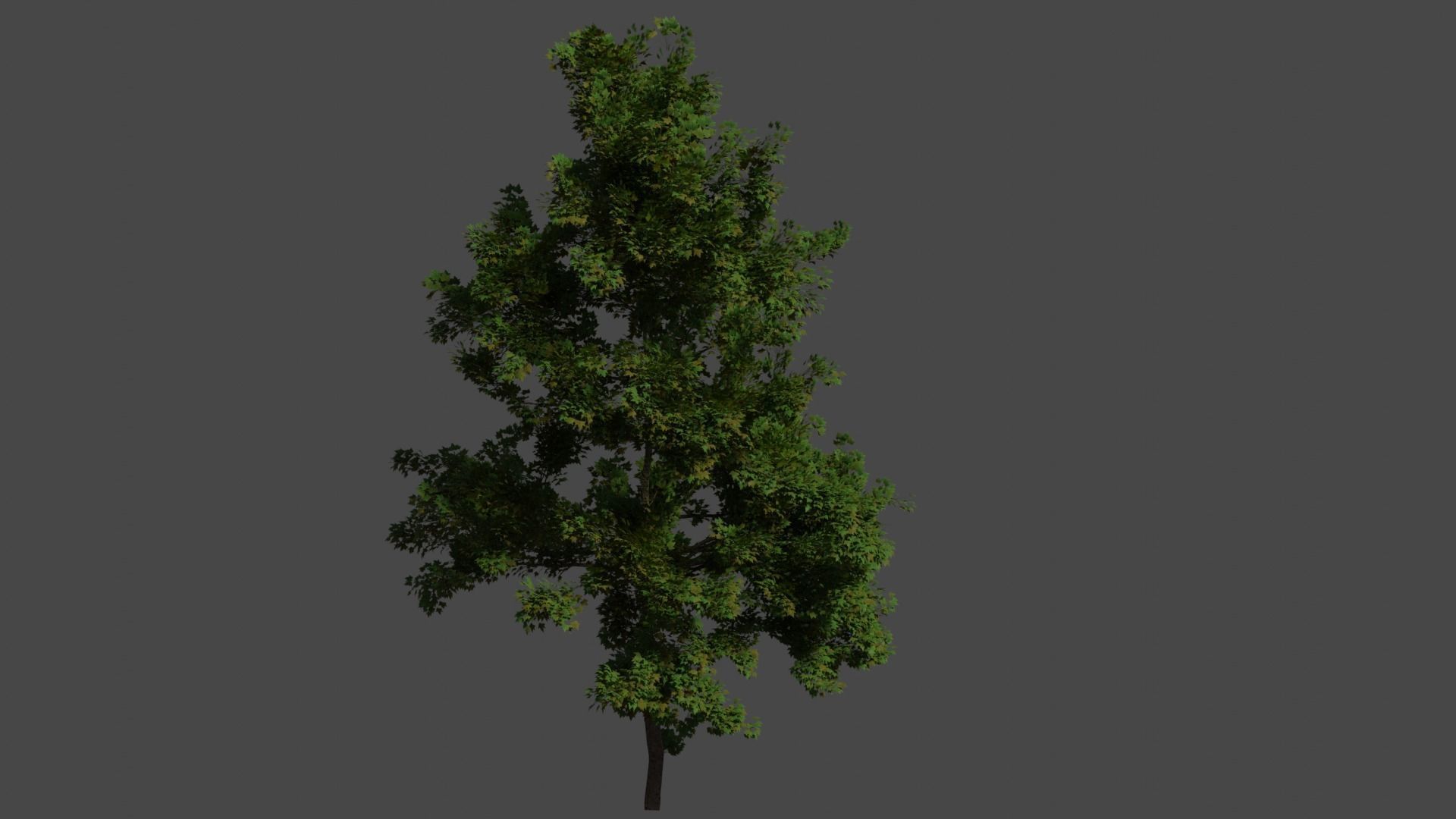 Another tree 3D model | CGTrader