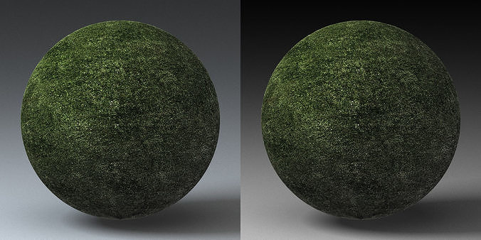 Grass Landscape Shader 005 Texture | CGTrader