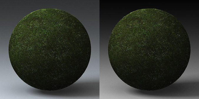 Grass Landscape Shader 010 Texture | CGTrader