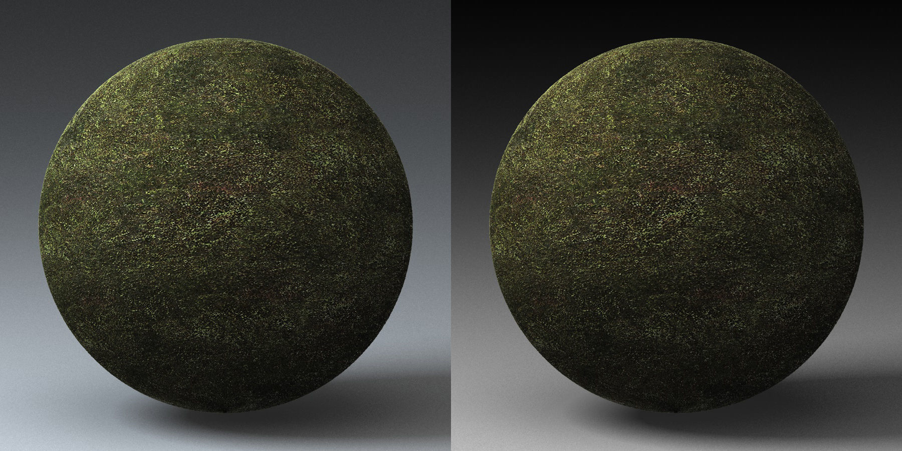 Grass Landscape Shader 013 Texture | CGTrader