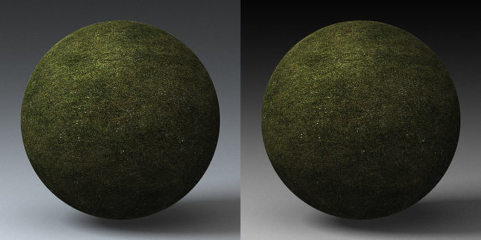 Grass Landscape Shader 016 Texture | CGTrader