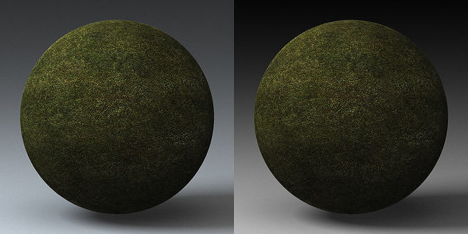 Grass Landscape Shader 017 Texture | CGTrader