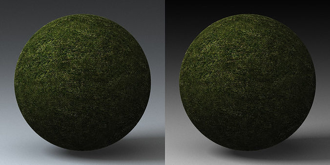 Grass Landscape Shader 018 Texture | CGTrader