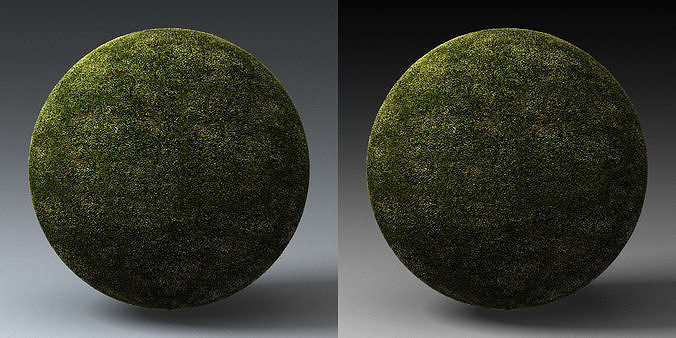 Grass Landscape Shader 019 Texture | CGTrader