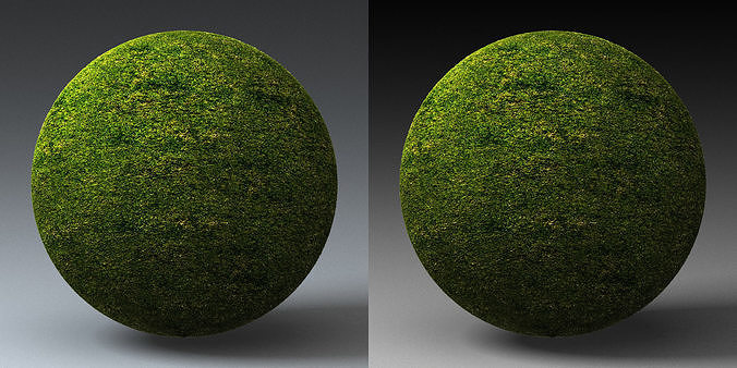 Grass Landscape Shader 020 Texture | CGTrader