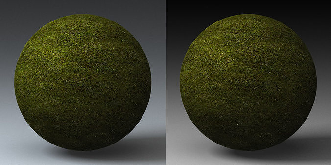 Grass Landscape Shader 022 Texture | CGTrader