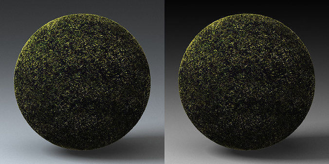 Grass Landscape Shader 024 Texture | CGTrader