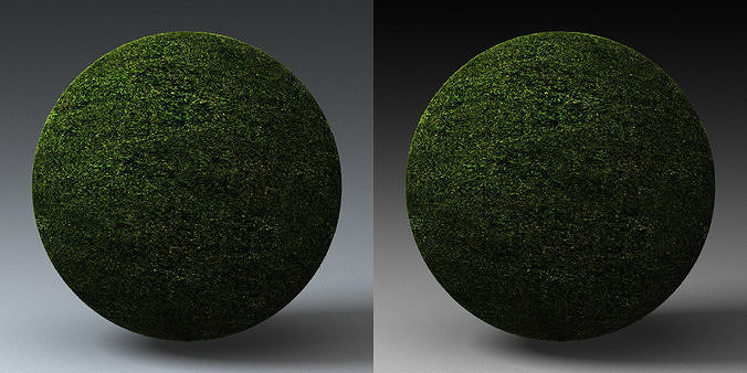 Grass Landscape Shader 026 Texture | CGTrader