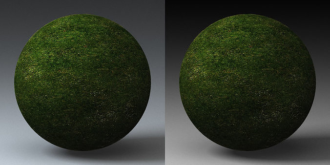Grass Landscape Shader 034 Texture | CGTrader