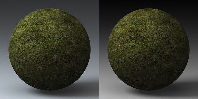 Grass Landscape Shader 039 Texture | CGTrader