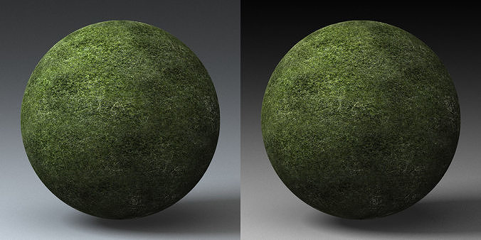 Grass Landscape Shader 040 Texture | CGTrader