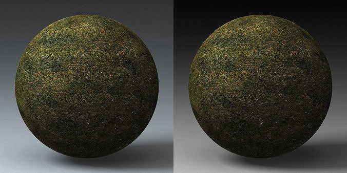 Grass Landscape Shader 044 Texture | CGTrader