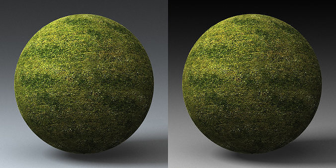 Grass Landscape Shader 050 Texture | CGTrader