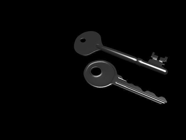 Door key 3D model | CGTrader