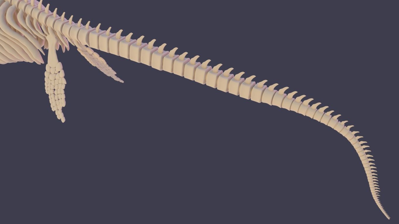 Ichthyosaurus crocodile skeleton 3D model 3D printable | CGTrader