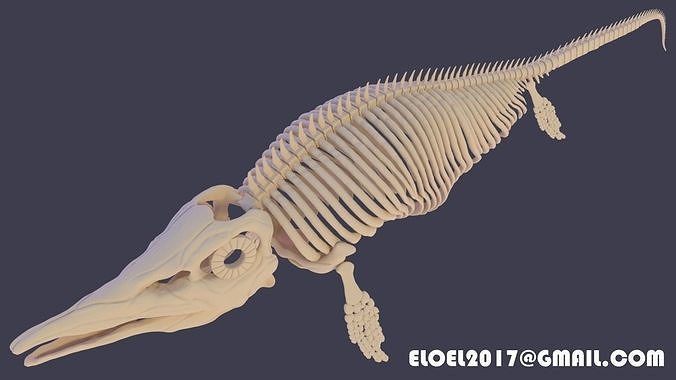 Ichthyosaurus 3D model 3D printable | CGTrader