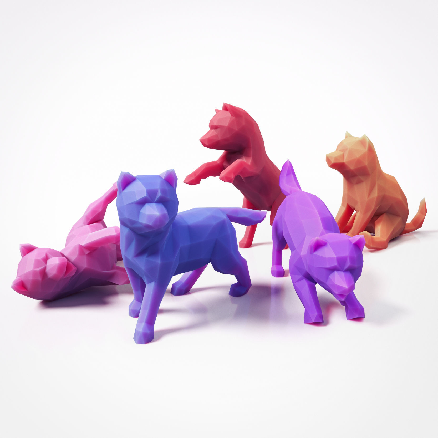 Puppy Shiba Inu Low Poly Pack 3D Model Collection | CGTrader