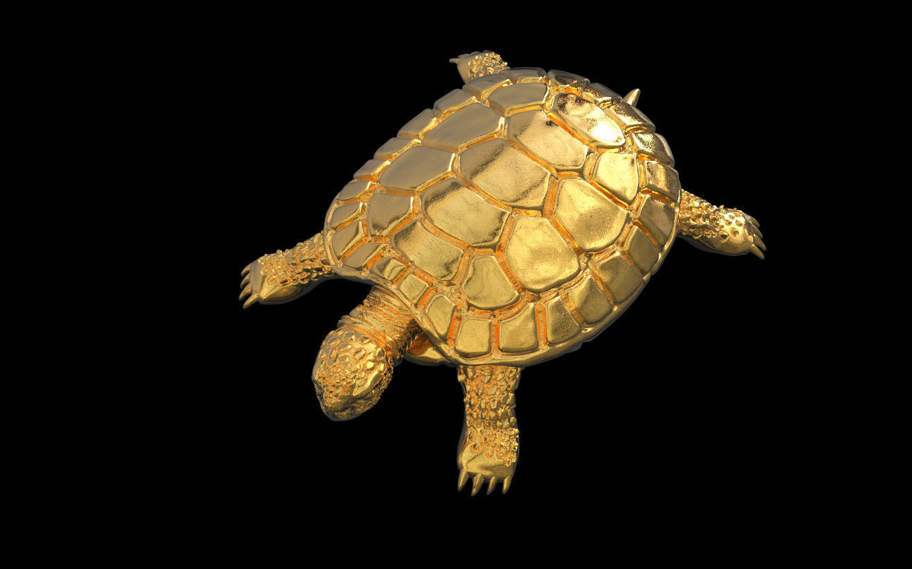 TURTLE TORTOISE 3D model 3D printable | CGTrader